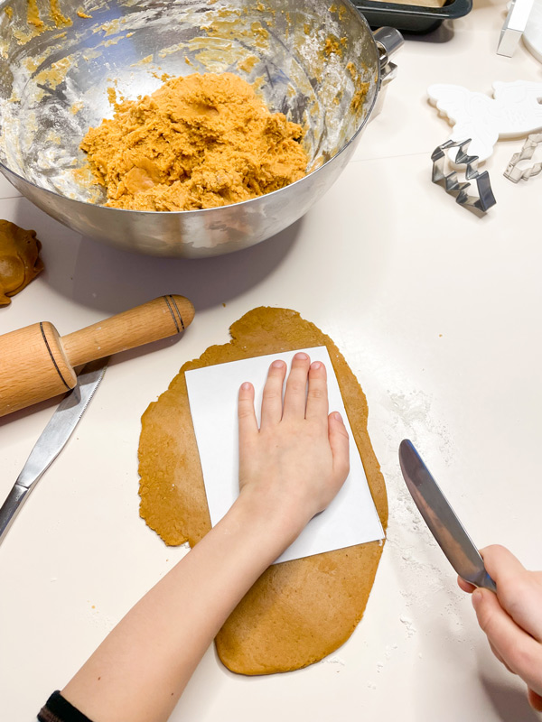 Imbierinis meduolinis namelis - Saldukas